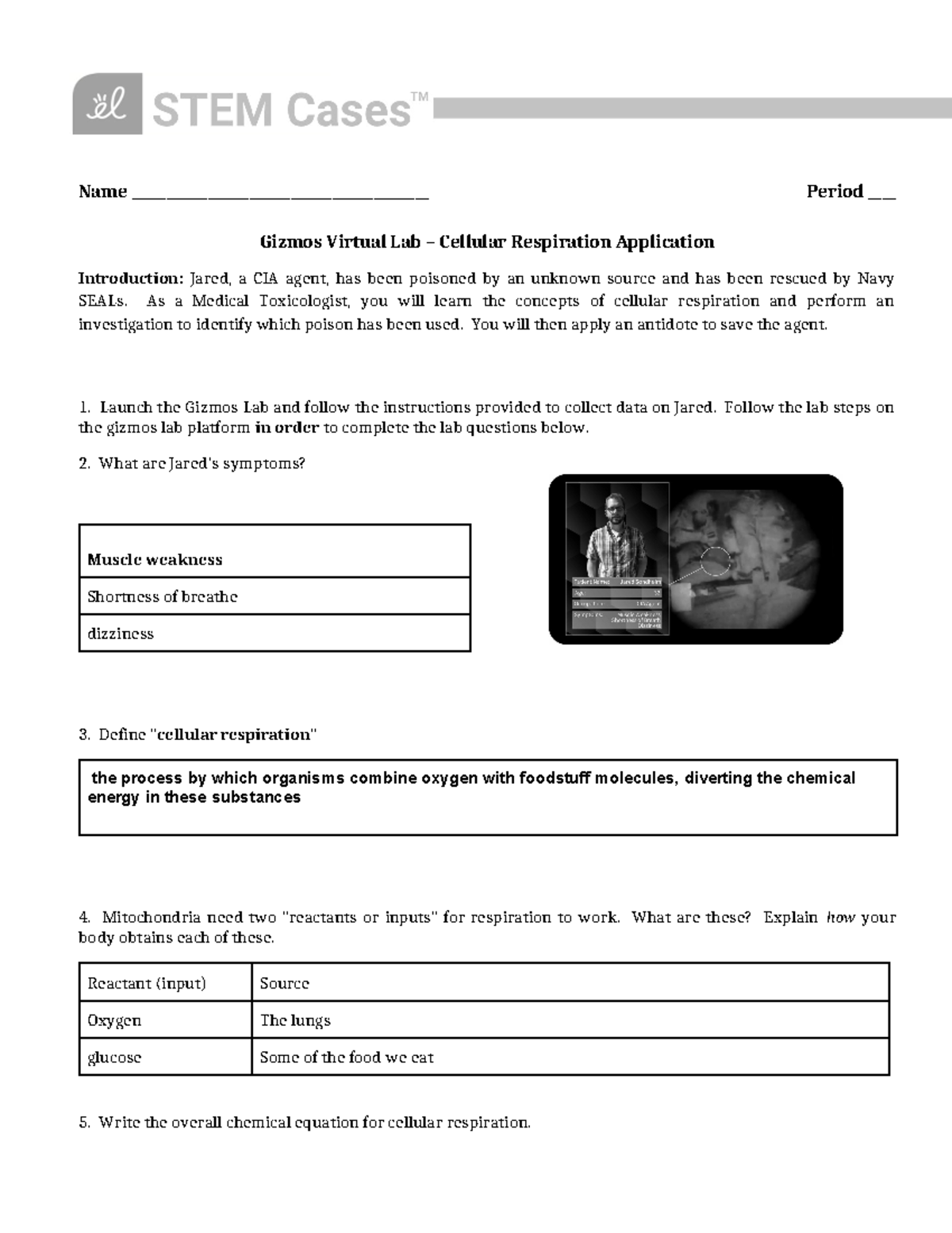 Gizmos+Virtual+Lab+-+Celluar+Respiration+Application+(AH) - Name - Studocu