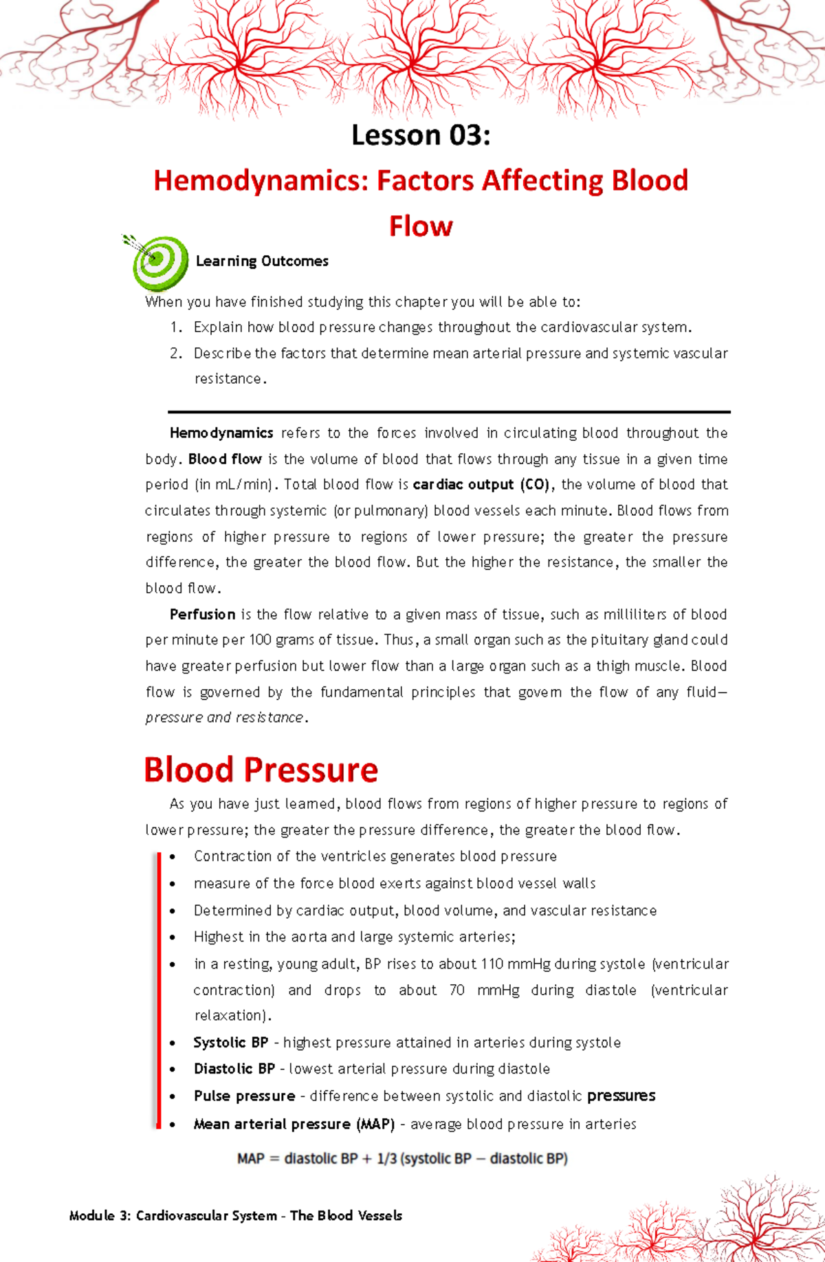 NUMC 101B Module 3 Cardiovascular system - the Blood Vessel Lesson 03 ...