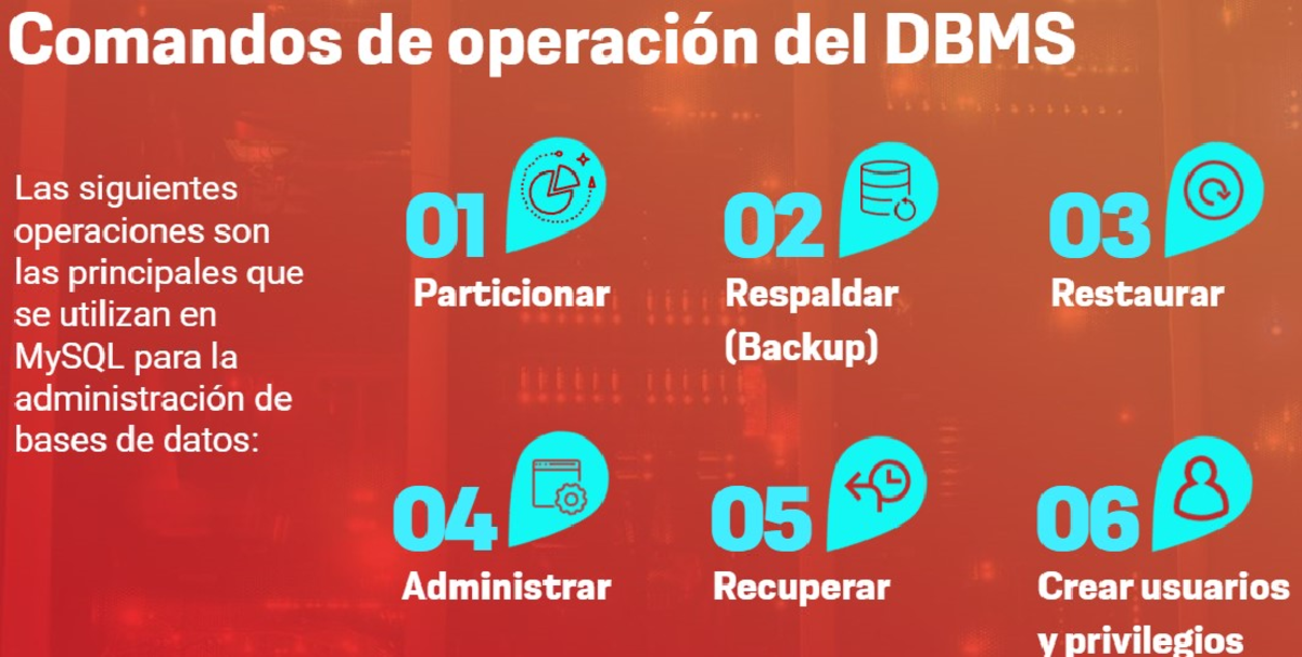 U2 L4 Principales comandos para operar el DBMS - Administración de Bases de Datos - Studocu