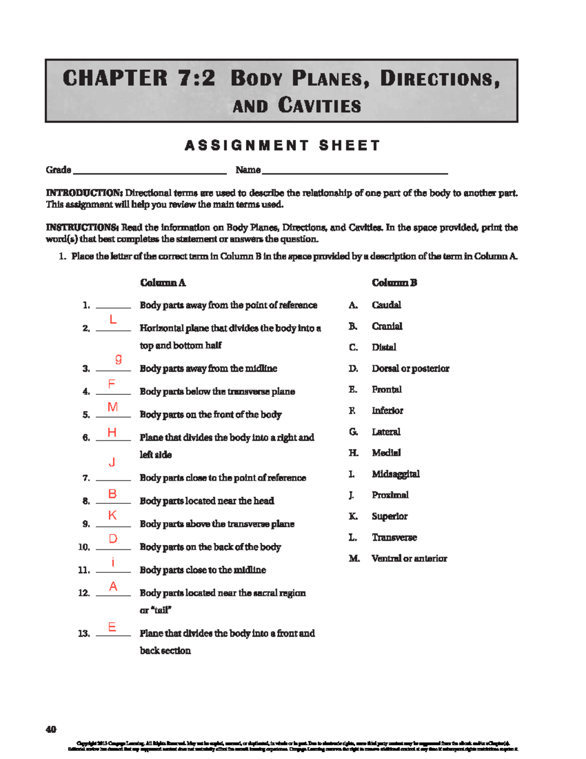 Body Planes Directions Terms - Studocu