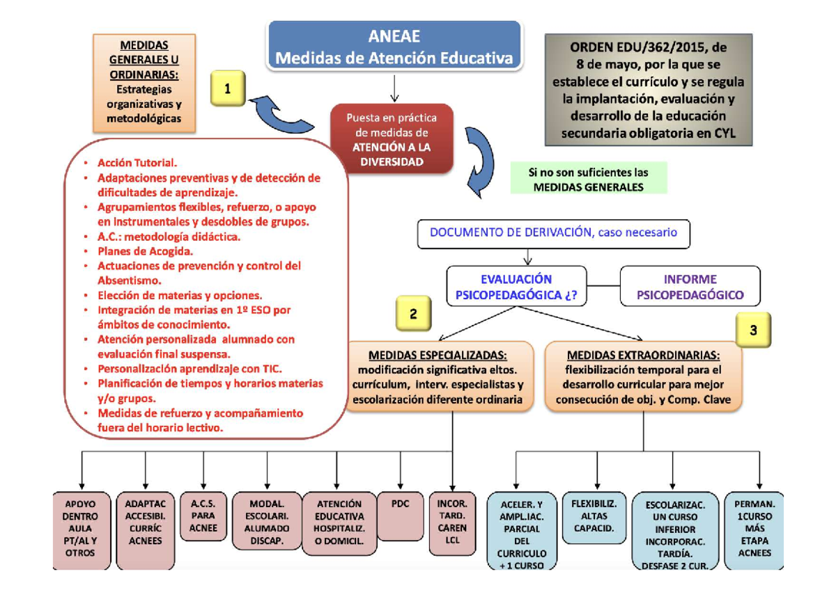 Resumen medidas ANEAE - Atención a la diversidad - Studocu