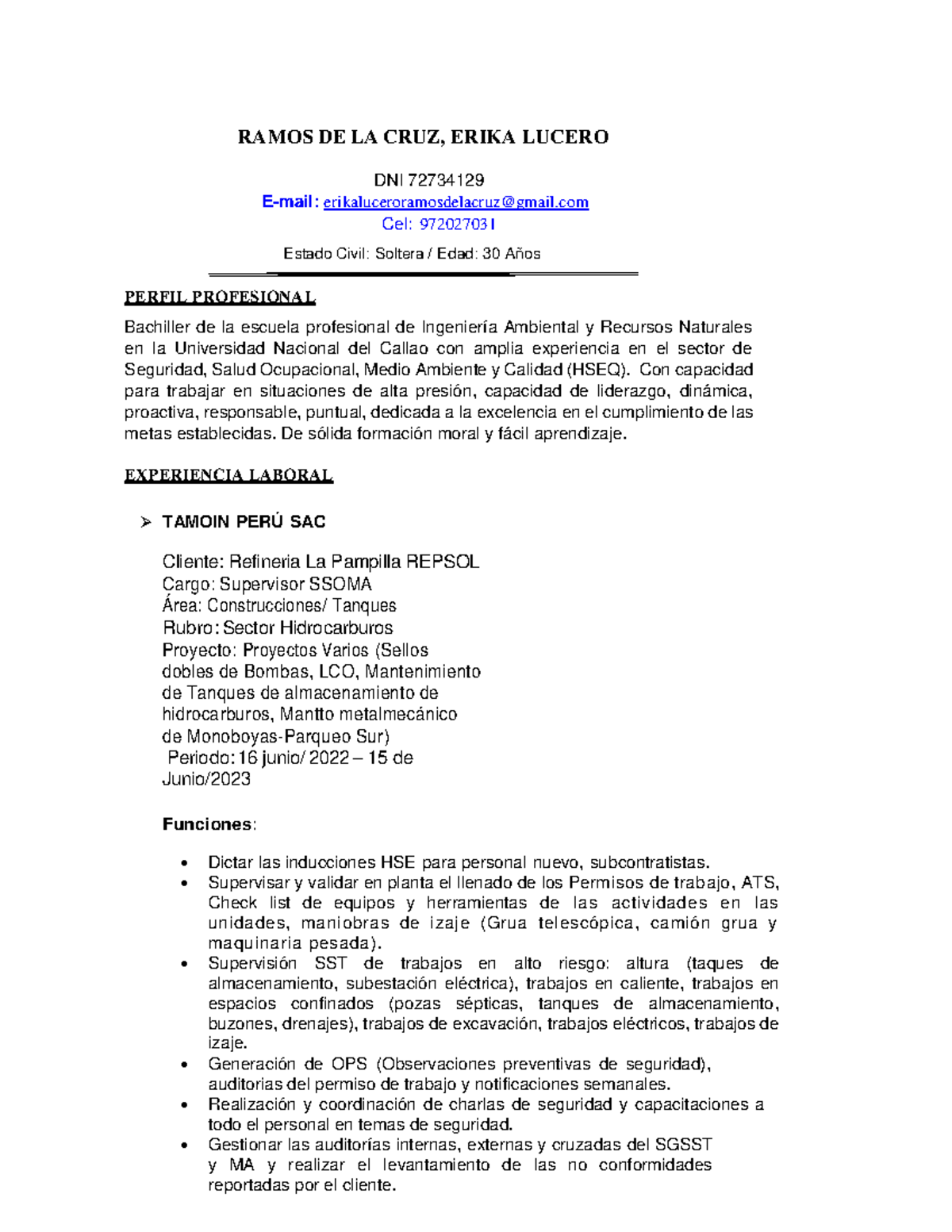 CV Erika Ramos - asdas - RAMOS DE LA CRUZ, ERIKA LUCERO DNI 72734129 E ...