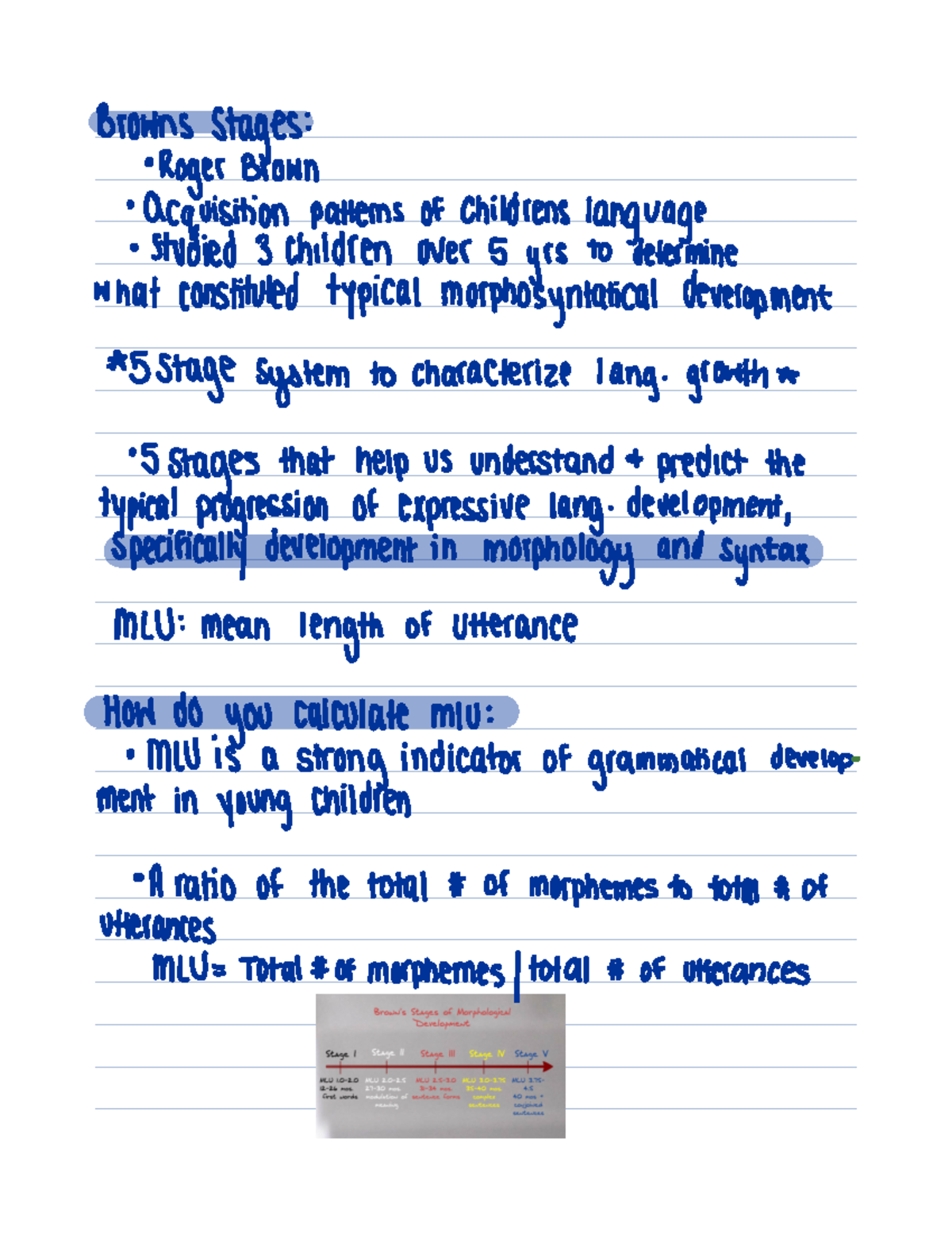 Notes 8 - Browns stages Roger Brown Acquisition patterns of Childrens ...