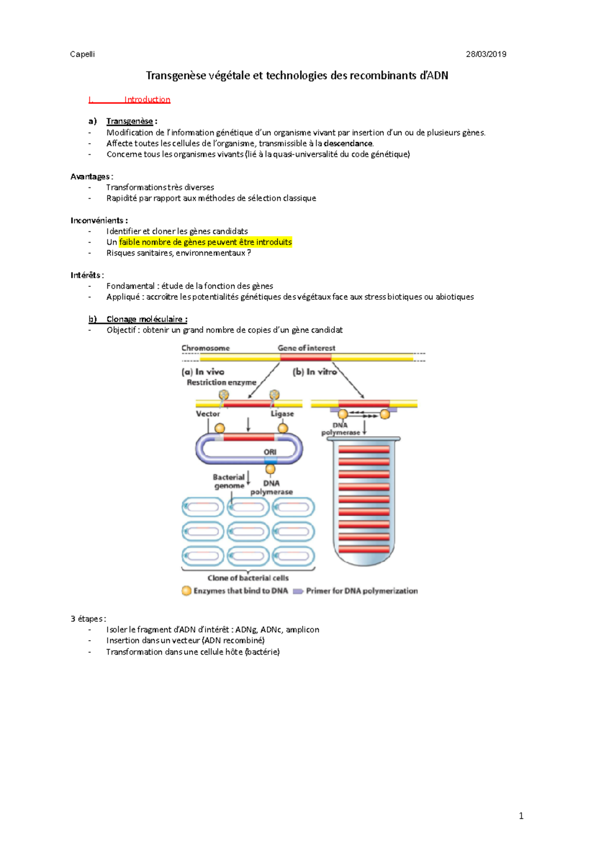 Transgenèse végétale et technologies des recombinants d’ADN ...