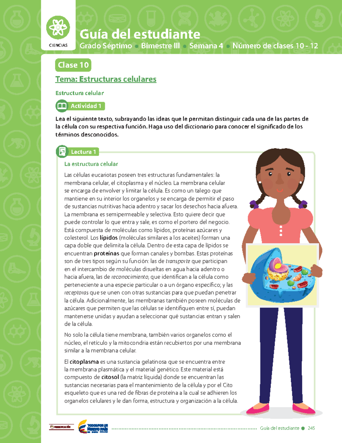 Ciencias 7 bim3 sem4 estSQDQSDSFSADXZCV DSFV SD - Grado Séptimo ...