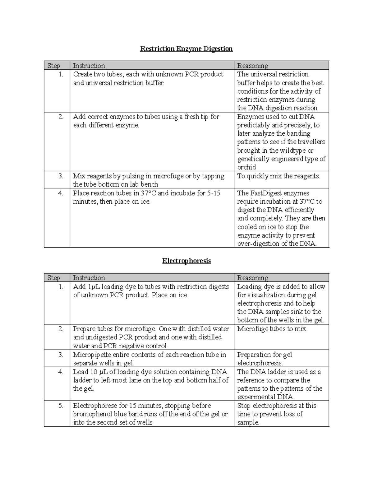 Lab 3 Flow Chart - Restriction Enzyme Digestion Step Instruction ...