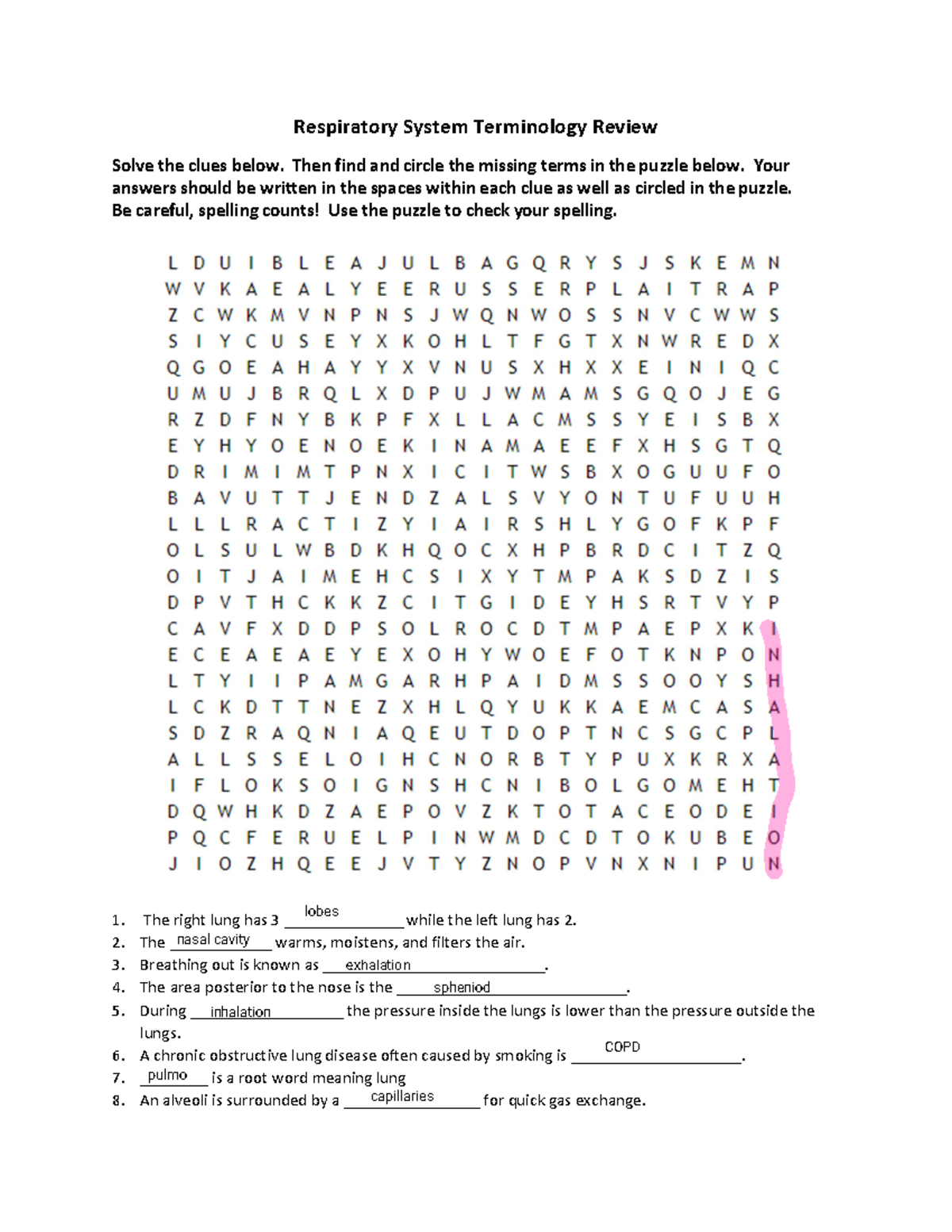 Kami Export - Respiratory Word Search - Respiratory System Terminology ...