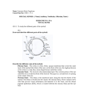 Marjorie Gordon's 11 Functional Health Patterns - Guide Questions ...