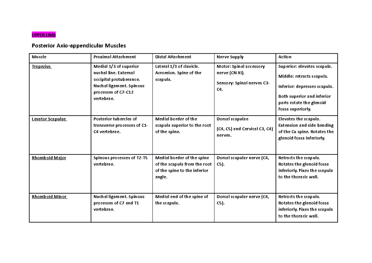 Upper LIMB- Muscles - UPPER L IMB Posterior Axio-appendicular Muscles ...