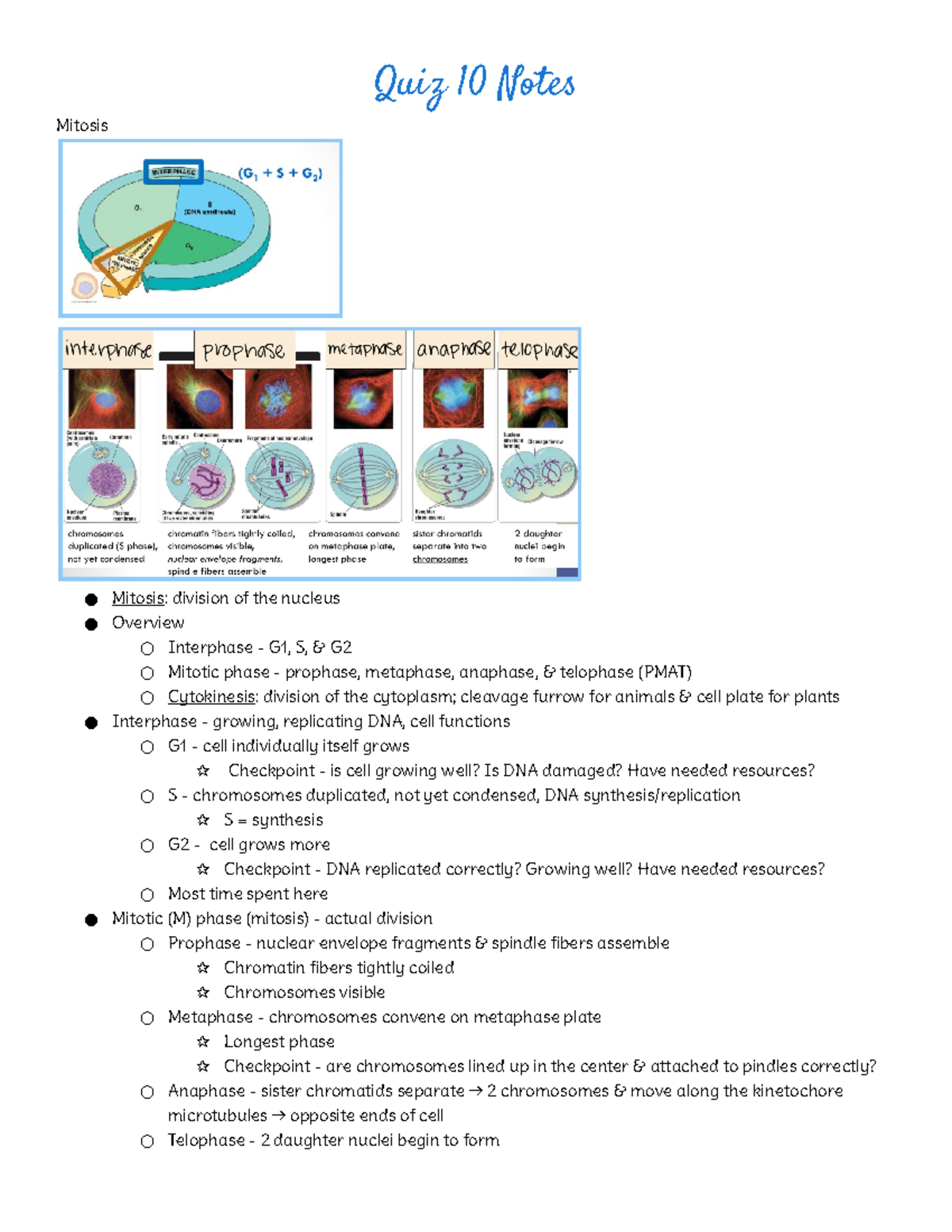 Quiz 10 Notes (Ch. 10) - Quiz 10 Notes Mitosis Mitosis: division of the ...