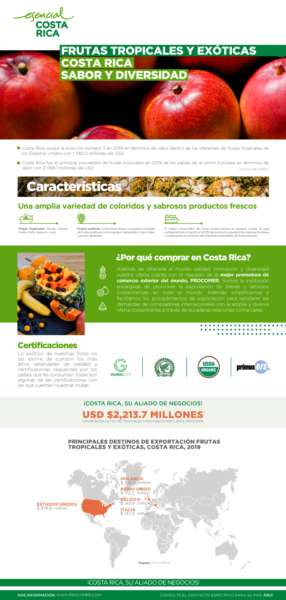 One Pager Agricola Frutas Tropicales ESP v2020 - ¡COSTA RICA, SU ALIADO ...