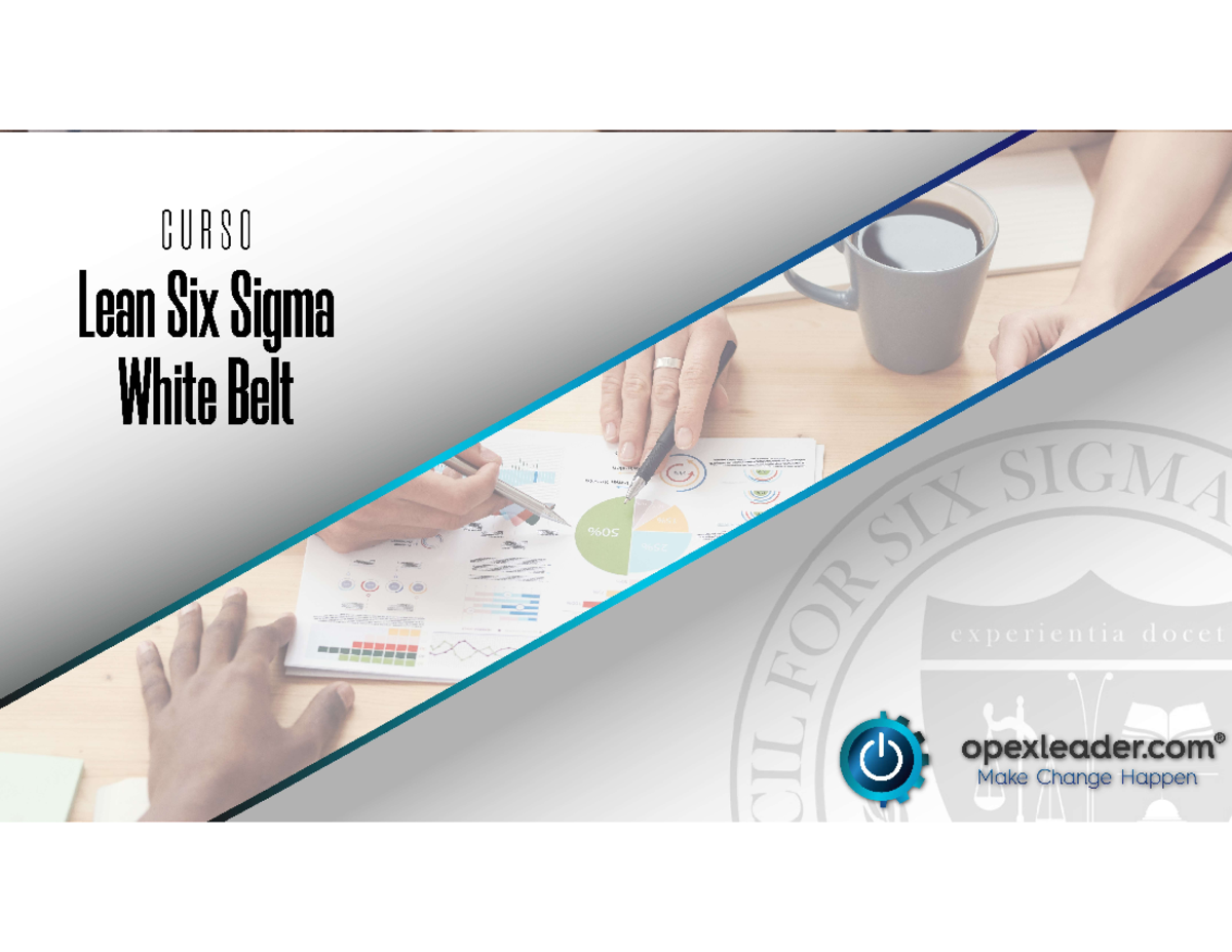 Manual WB - six sigma - Approved Training Provider & Consultant The Council for Six Sigma - Studocu