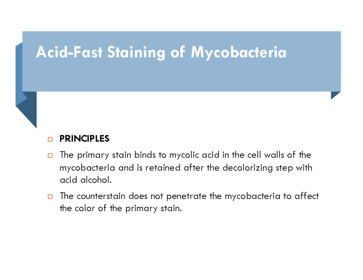 Acid-Fast-Staining - Acid-Fast Staining of Mycobacteria ̈ PRINCIPLES ̈ ...