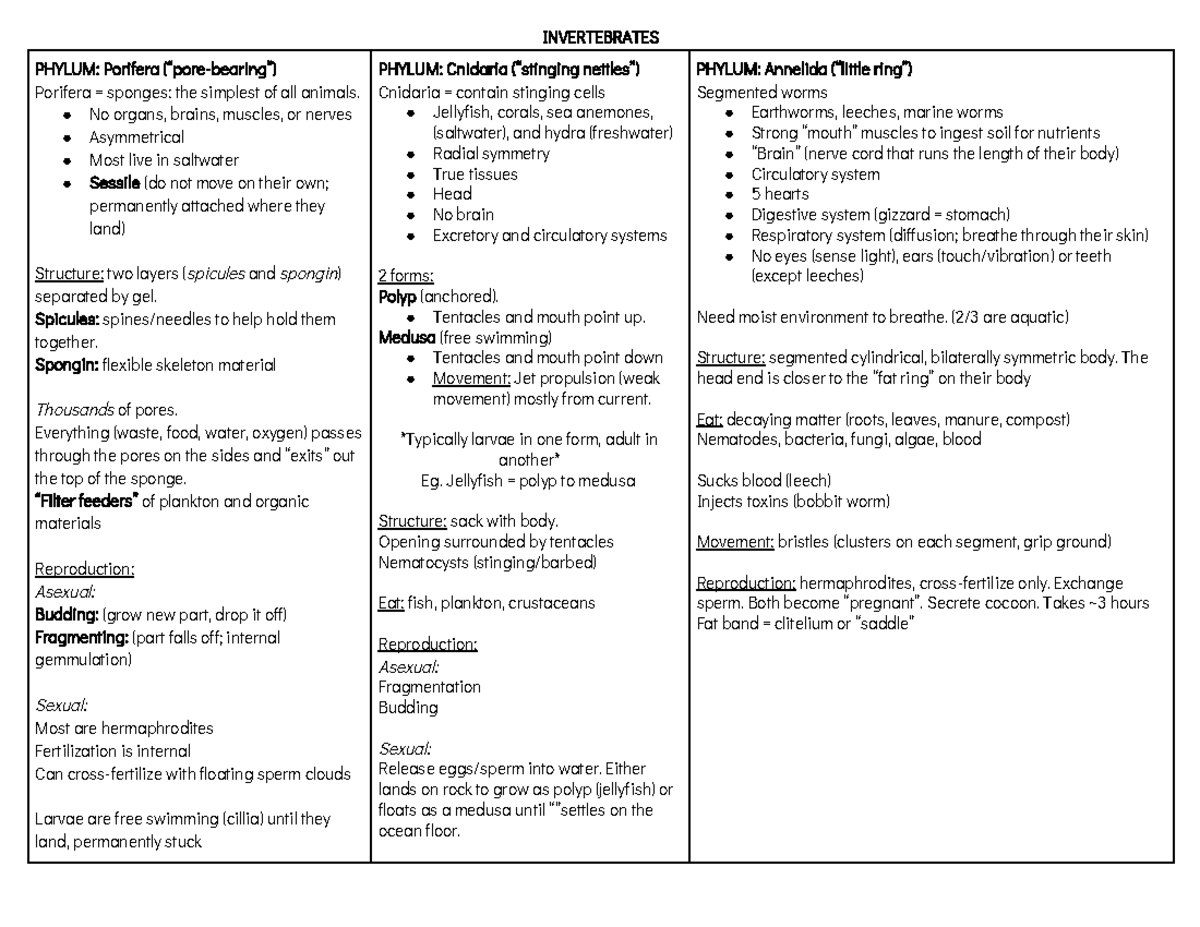 BIO Notes Animalia - INVERTEBRATES PHYLUM: Porifera (“pore-bearing ...