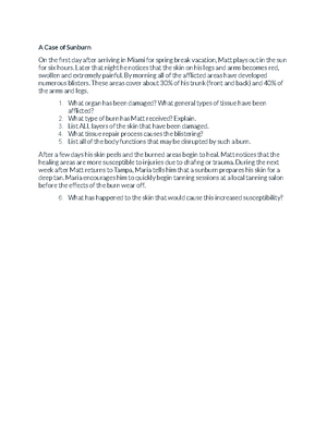 Anatomy Report - A Case of Sunburn On the first day after arriving in ...