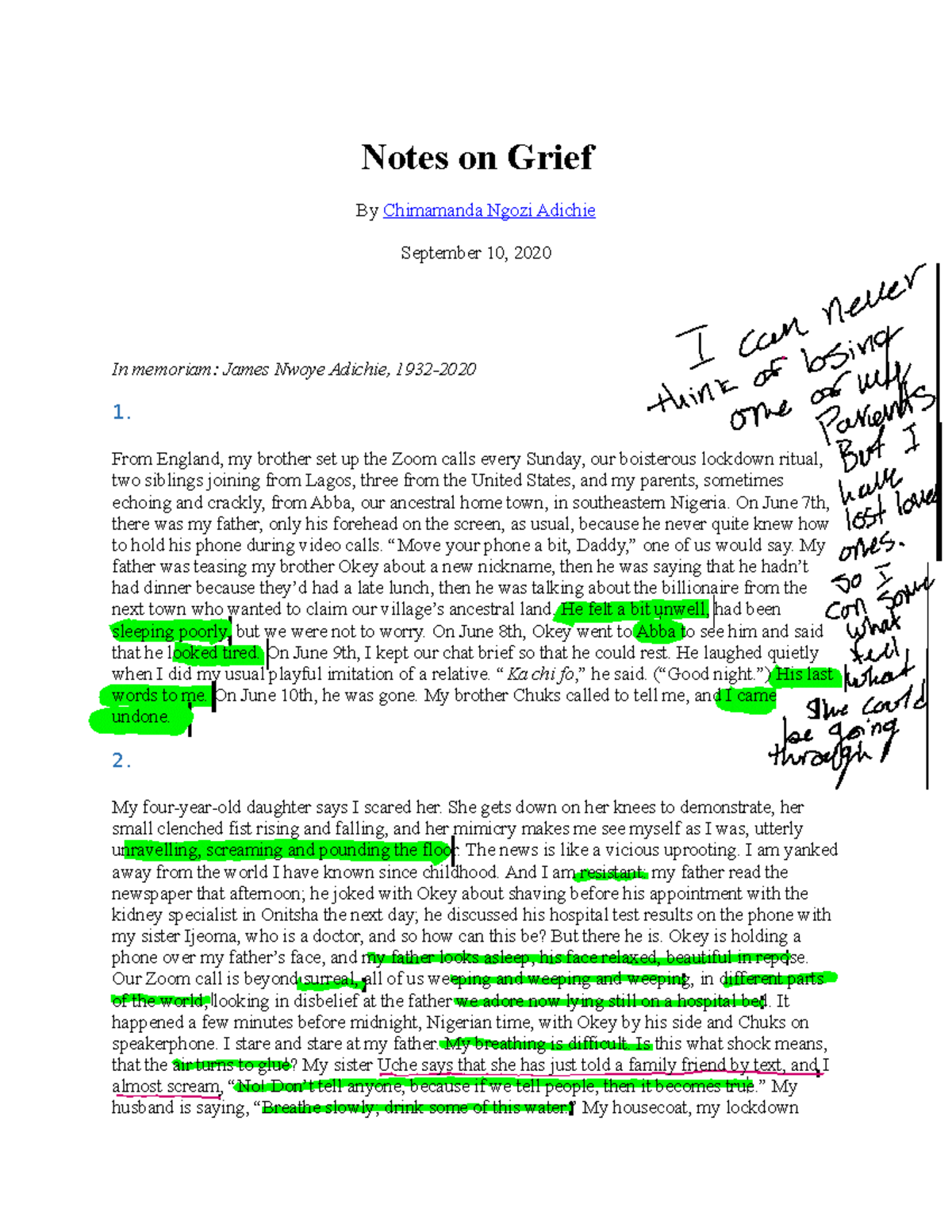 Chimamanda Ngozi Adichie’s “Notes on Grief’ - Notes on Grief By ...