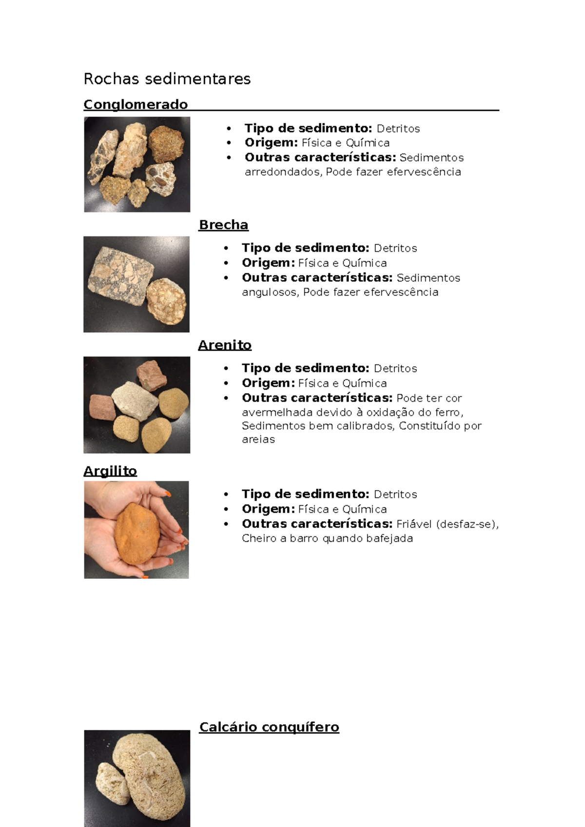 Resumo rochas sedimentares - Rochas sedimentares Conglomerado Tipo de ...