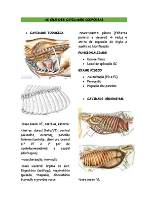 Apostila Completa Anatomia Veterinaria - ANATOMIA DOS ANIMAIS ...