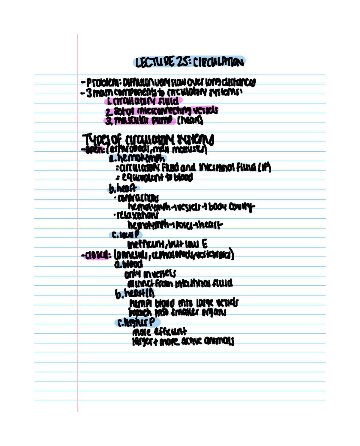 Gen Bio II Final Study Guide - LECTURE 25 CIRCULATION Problem ...