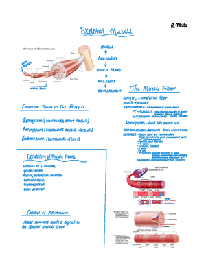 Anatomy-Physiology - Anatomy and Physiology: Course Study Guide ...