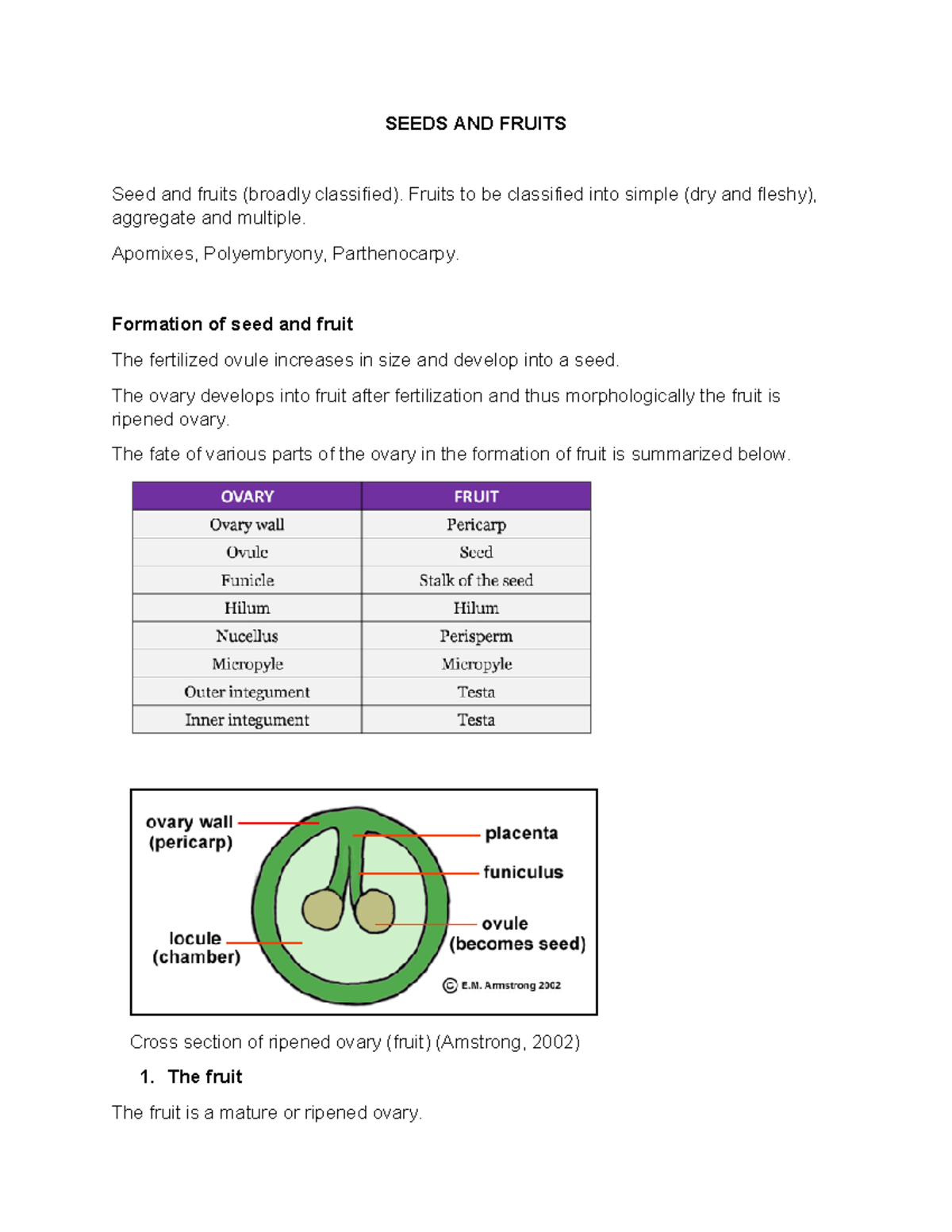 Seeds AND Fruits - SEEDS AND FRUITS Seed and fruits (broadly classified ...