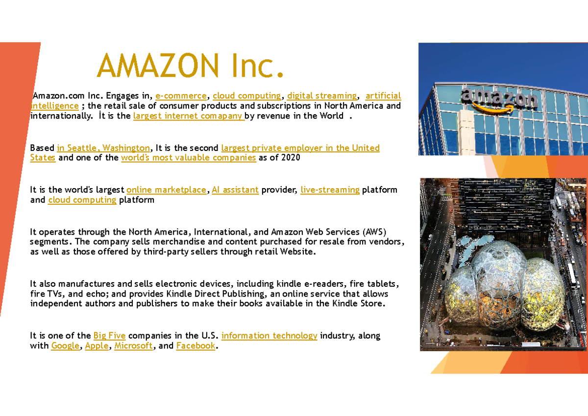 auditing assingment for 2020 for students - AMAZON Inc. Amazon Inc ...