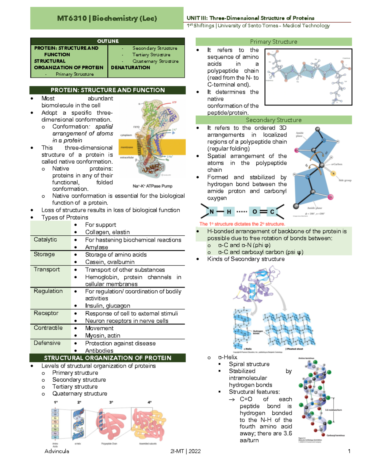 Biochem 3 Three-Dimensional Structure of Proteins - 1 st Shiftings ...