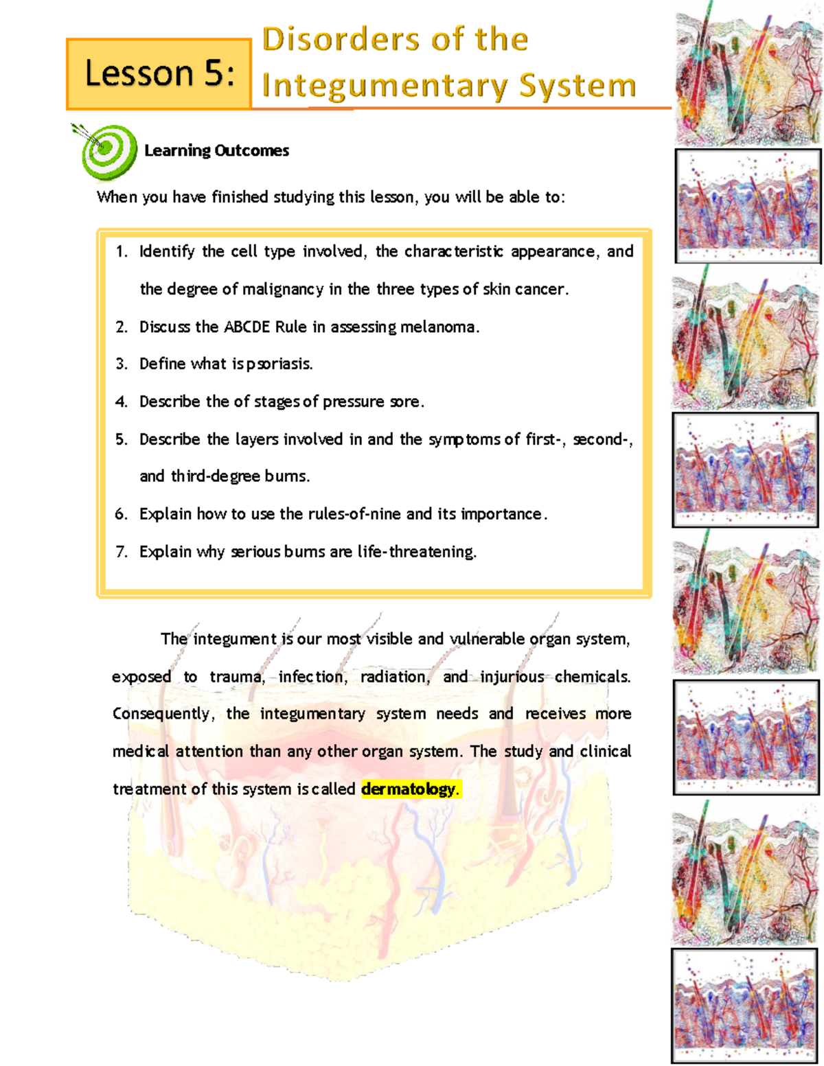 Integumentary System Lesson 5 - Learning Outcomes When you have ...
