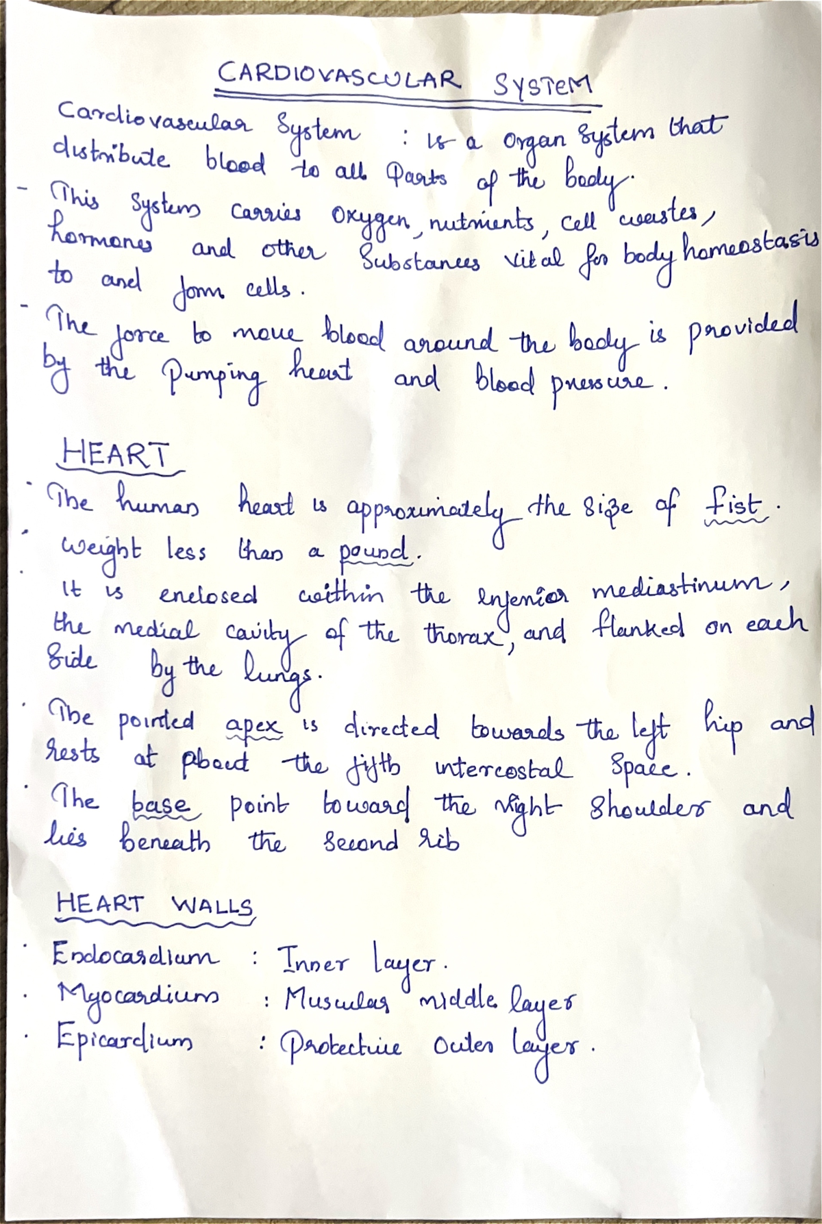 Cardiovascular system - Structure & Function of Human Body I - Studocu