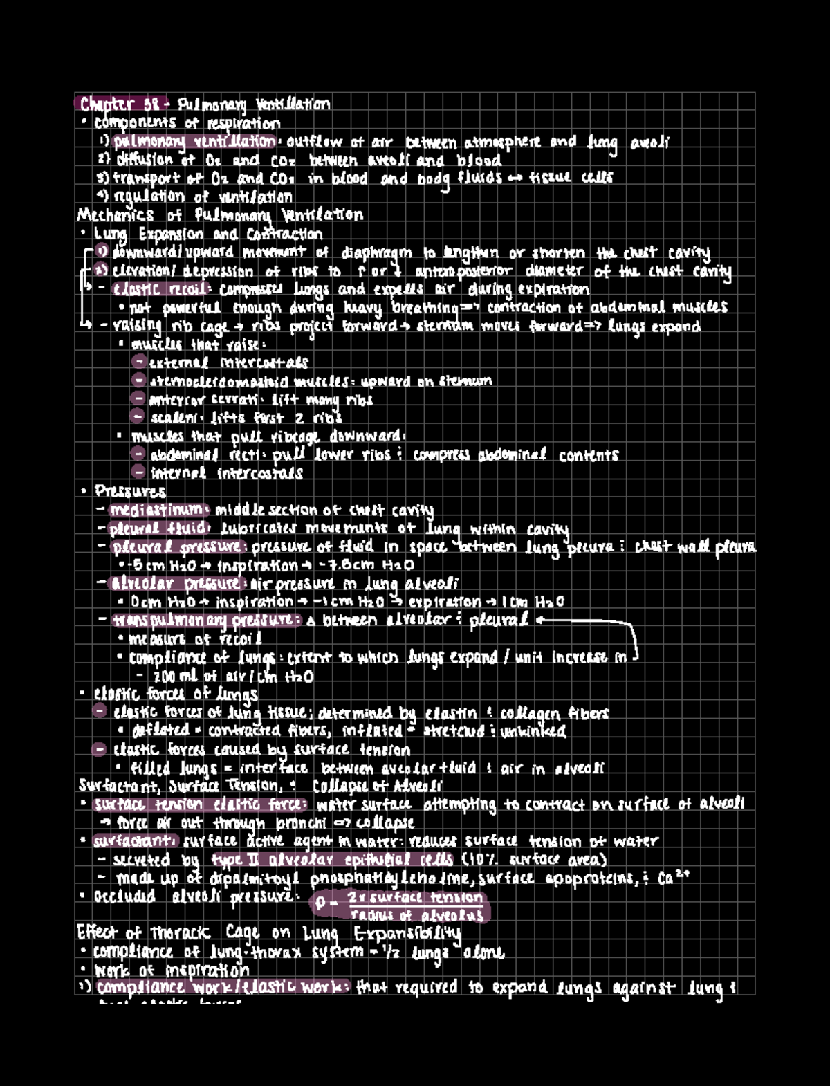Physio Book Notes Unit 4 - Chapter 38 Pulmonary ventilation components ...