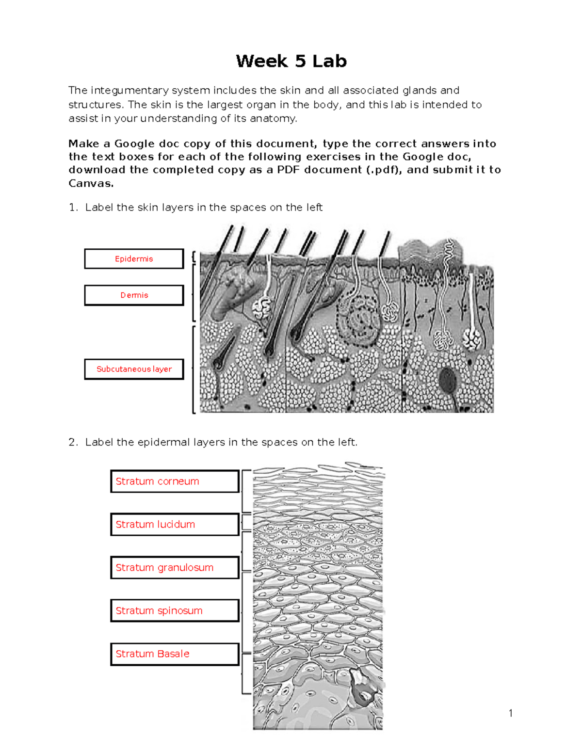 Week 5 Lab Answers Deprecated Api Usage The Svg Back End Is No Longer Maintained And May Be