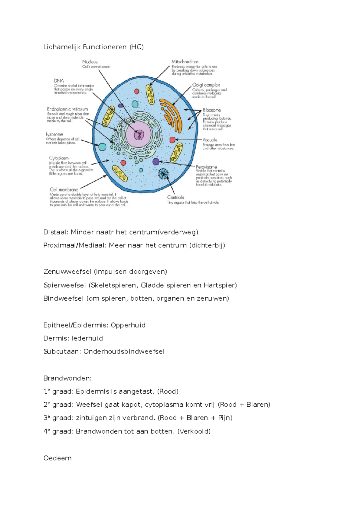 Lichamelijk Functioneren (HC) - Lichamelijk Functioneren (HC) Distaal ...