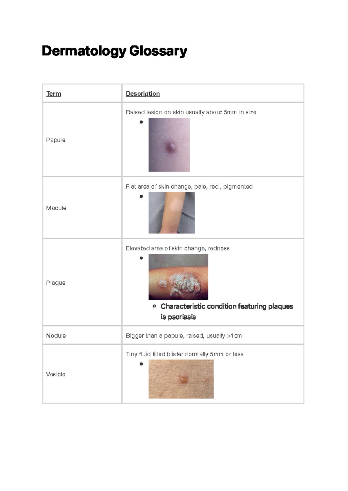 Dermatology Glossary - D e r m a to l o g y G l o s s a r y Term ...