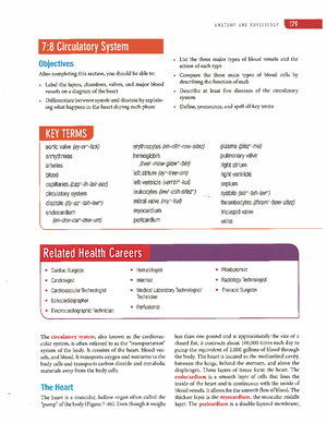 CVS Diagrams - HeartHe - Basic Structure of the Heart Superior vena ...