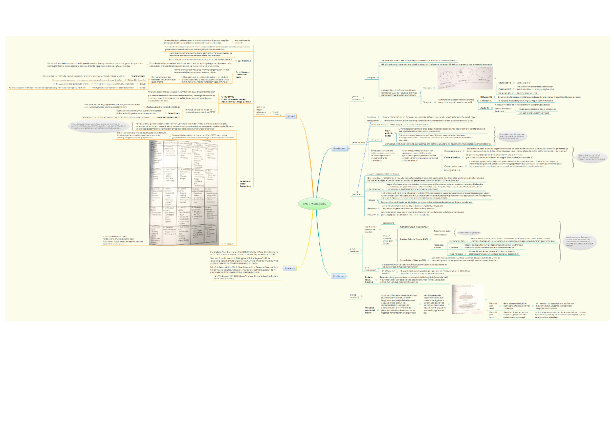 Vervangende opdracht (mindmap) P6 - Hotspots - N5emmiomdine!mmmmmmmaumwmlmnwwlmmuimm Mn ...