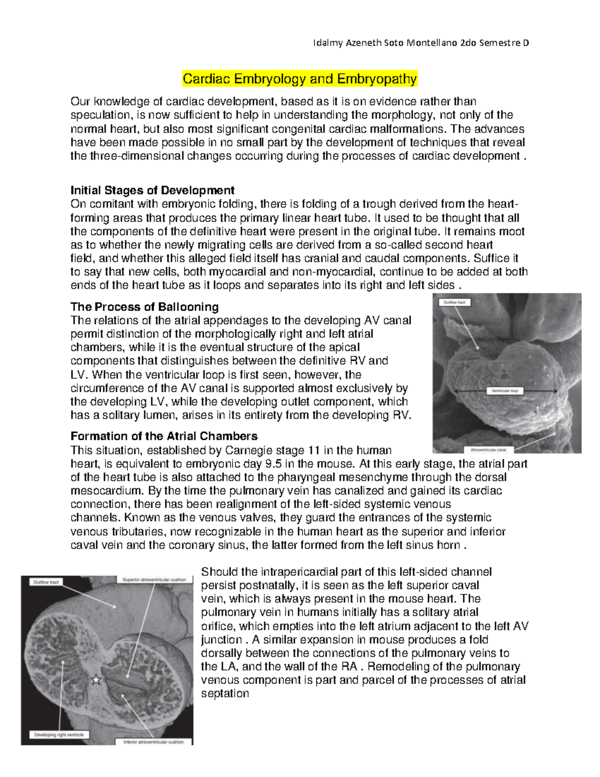 Cardiac Embryology and Embryopathy- Idalmy Soto - Idalmy Azeneth Soto ...