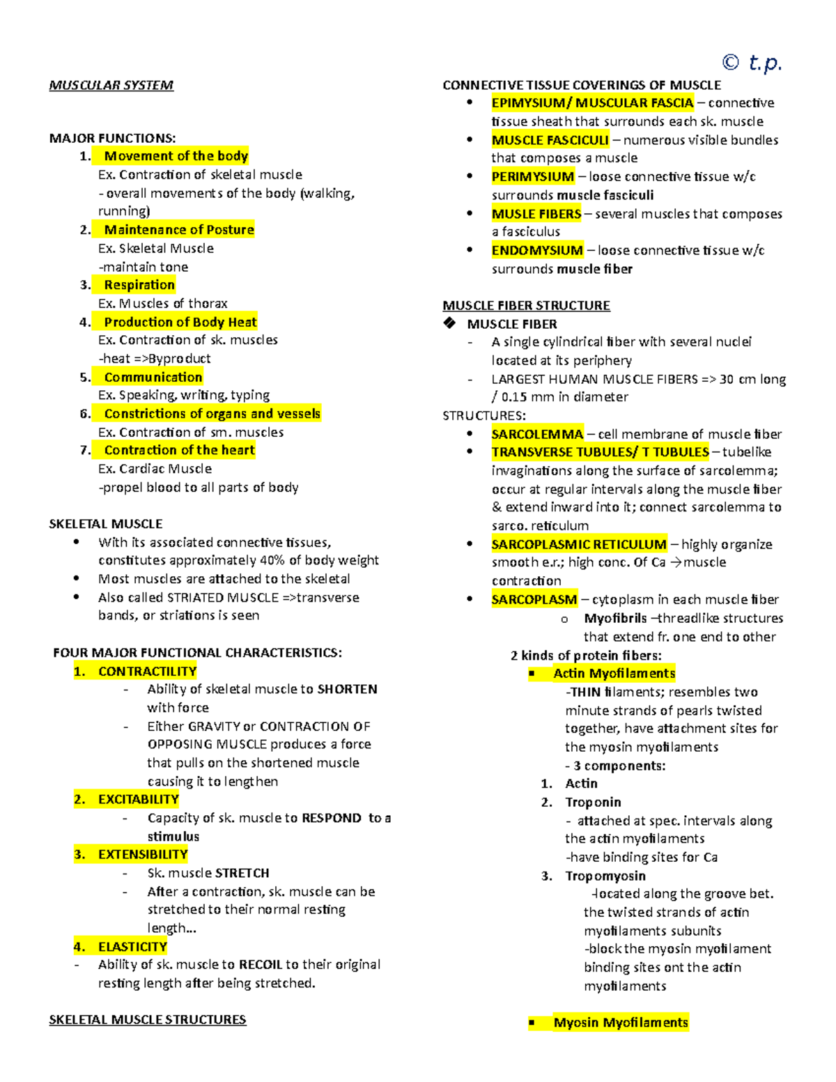 240378167 Muscular System Reviewer - © t. MUSCULAR SYSTEM MAJOR ...