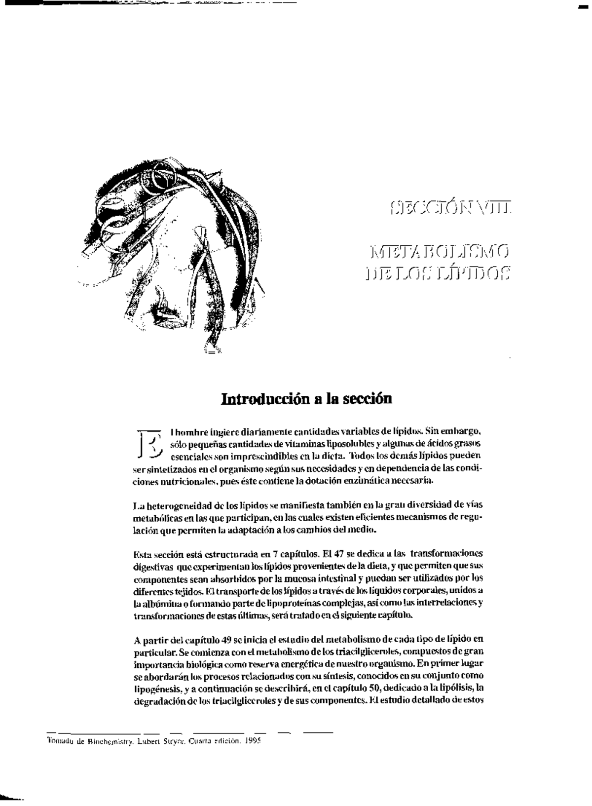 Lípidos bioquimica 2 - Práctica - Introducción a la sección 1hombre ...