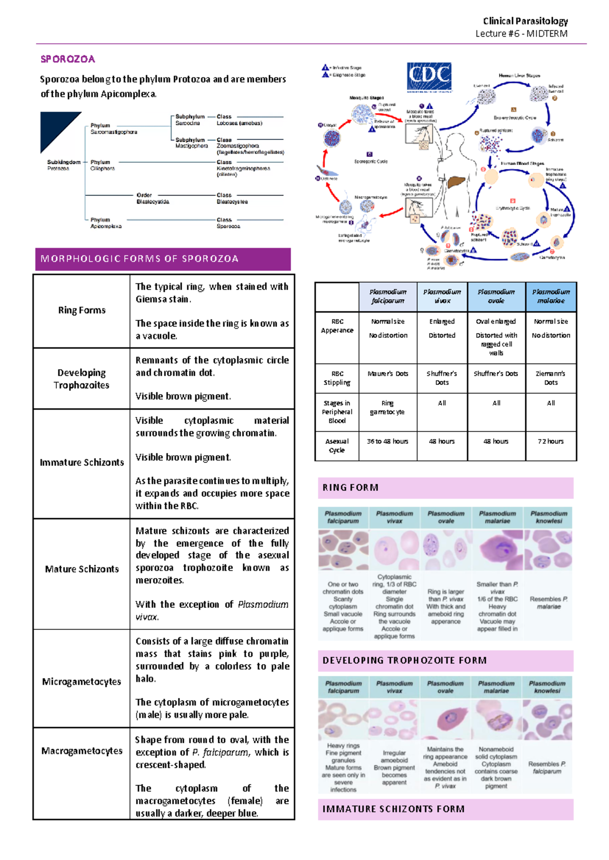 Copy of Parasitology (Lect #6) trans - Clinical Parasitology Lecture ...