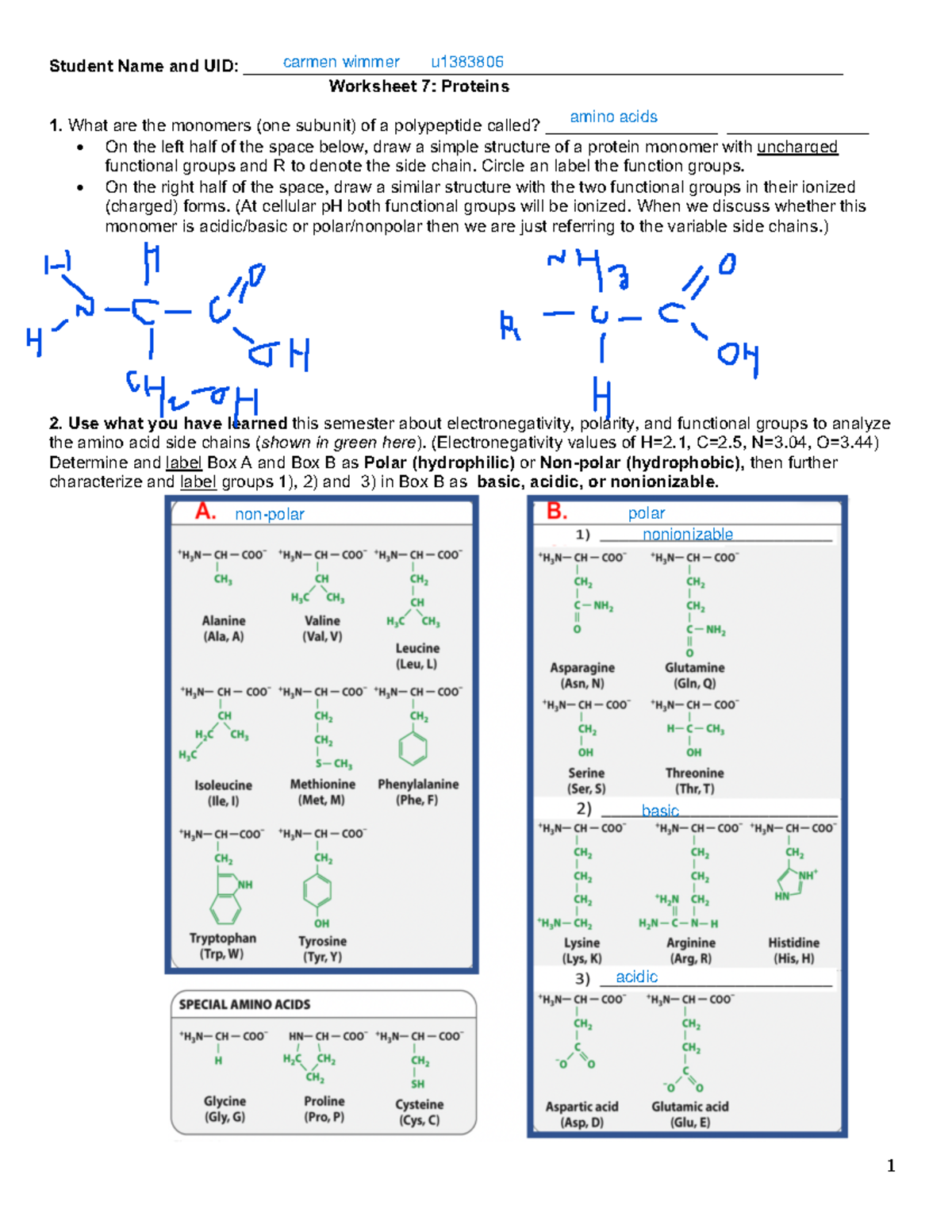 3-Worksheet 7 proteins F'22 - 1 Student Name and UID: - Studocu