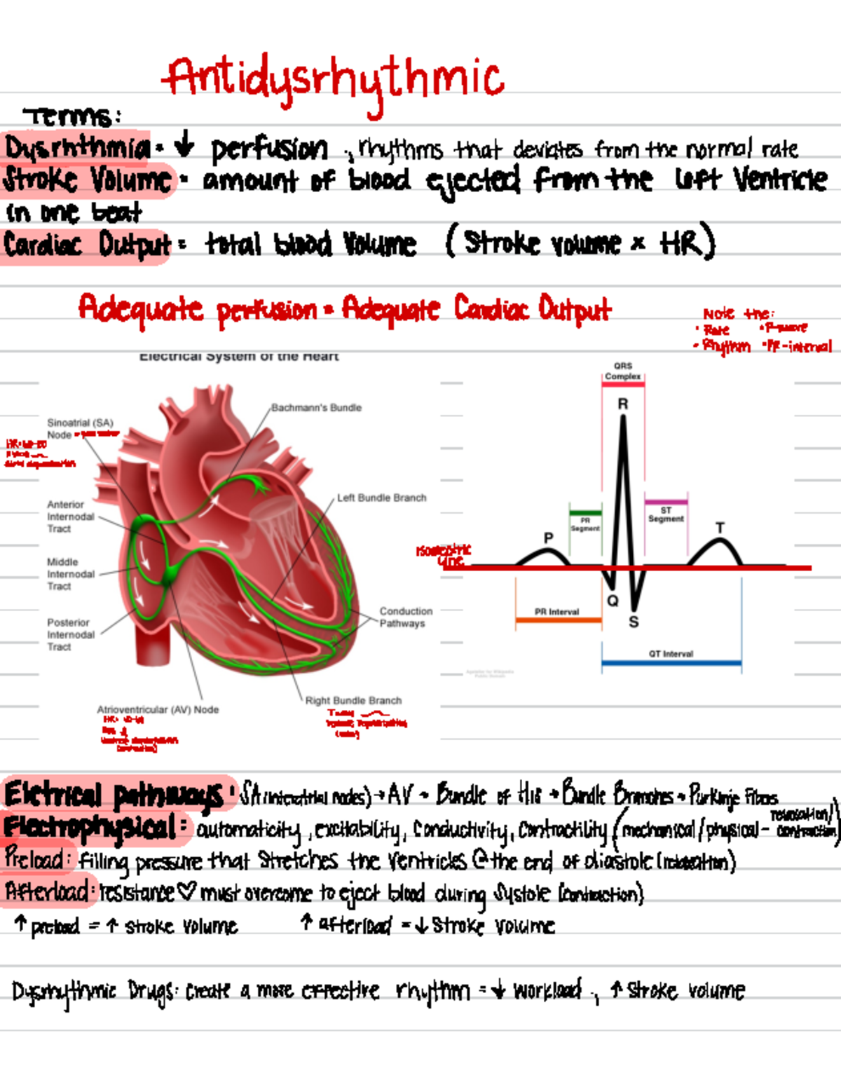 Antidysrhythmias - Notes - Antidysrhythmic Terms : Dysonthmia ...