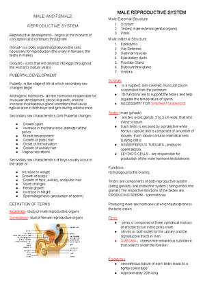 Overall CHN Handouts - CHN notes - COMMUNITY HEALTH NURSING Primary ...