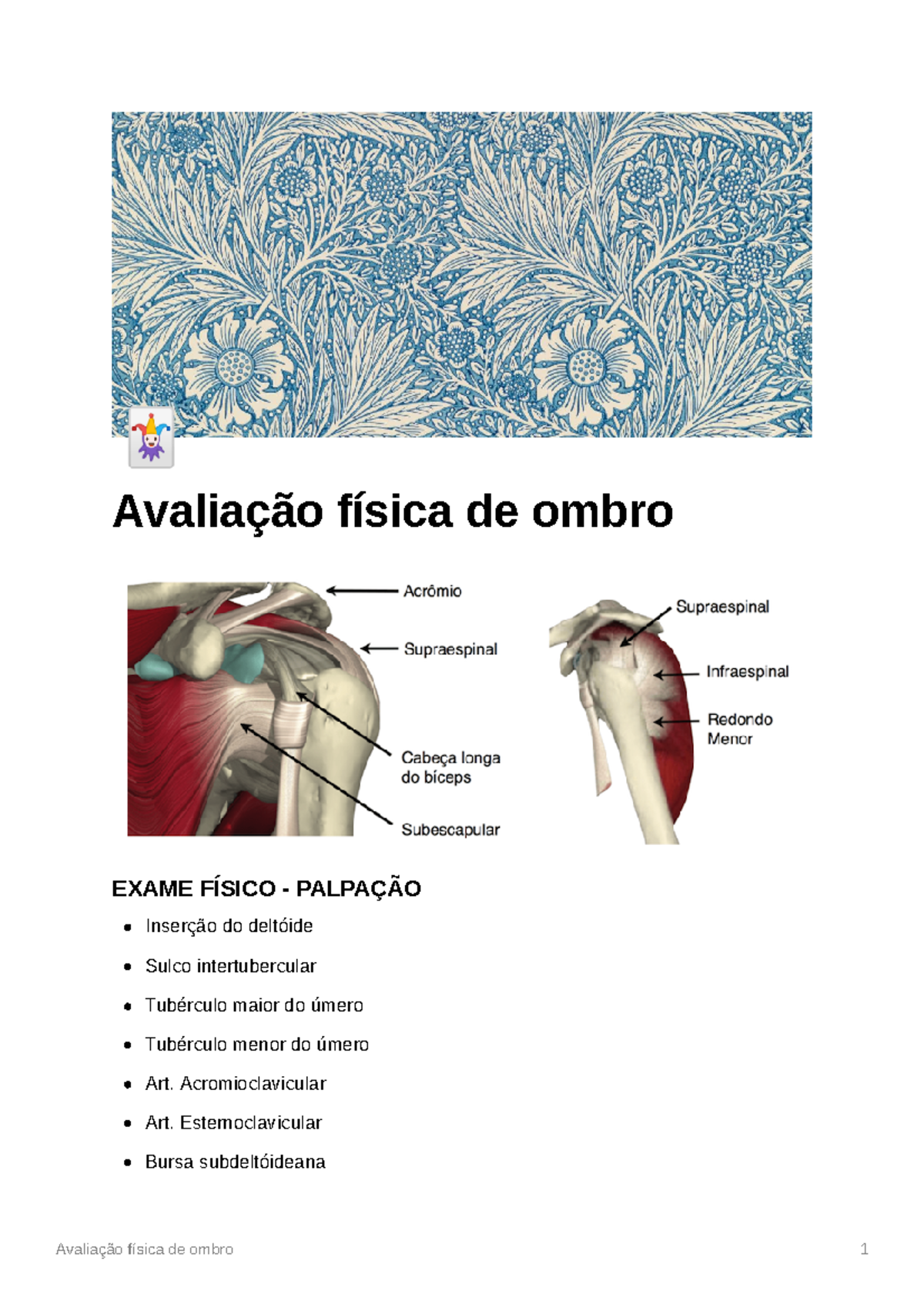 Avaliação física de ombro + testes ortopédicos - 🃏 Avaliação física de ...