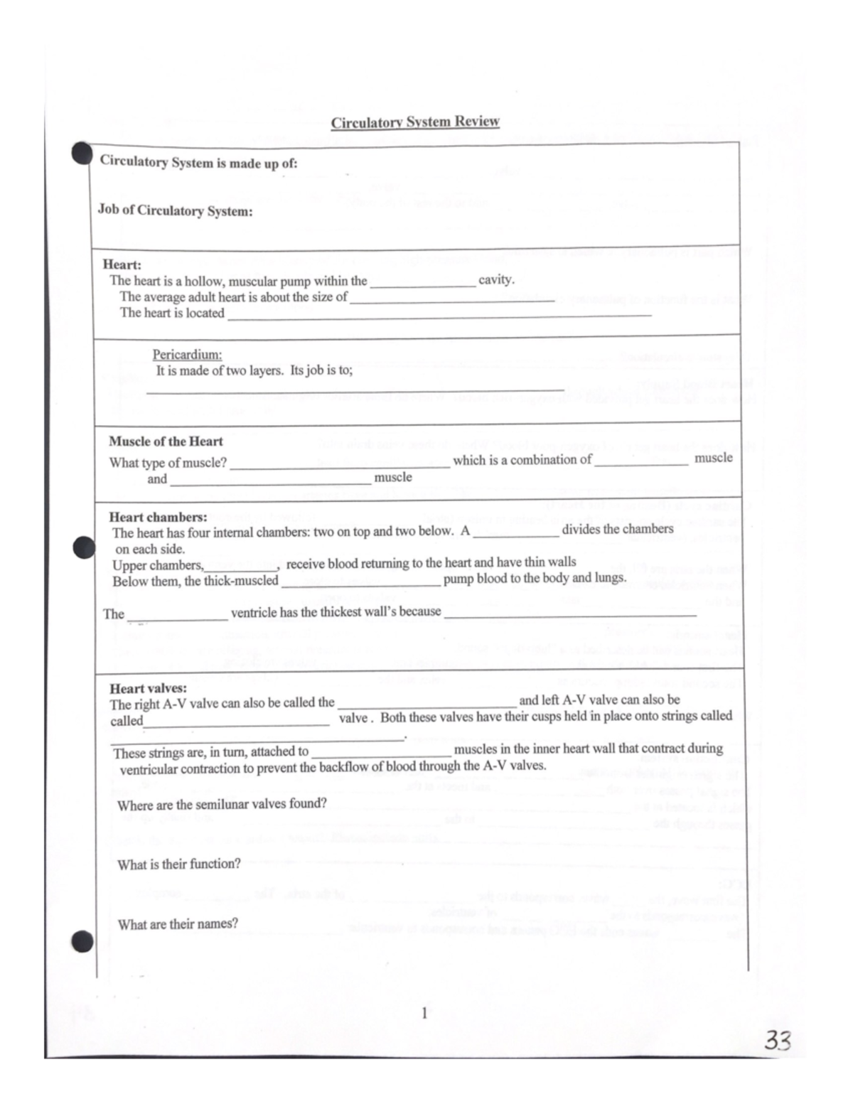 Circulatory System review questions pdf - Bio152 - Studocu