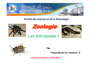 1. Anatomie-du-pharynx (By K - Anatomie du pharynx TH3 Anat ORL - D ...