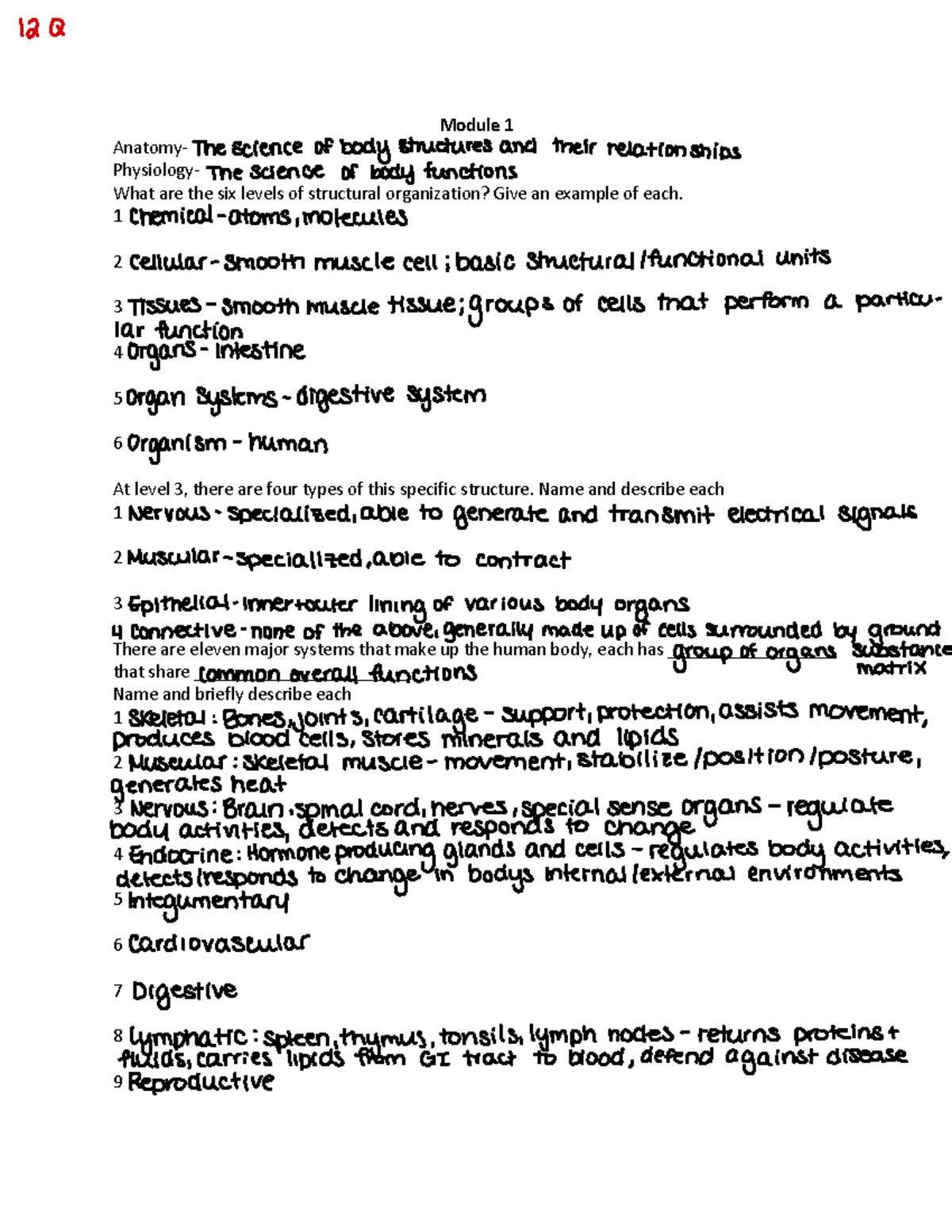 Module 1 Review - Module 1 Anatomy- Physiology- What are the six levels ...