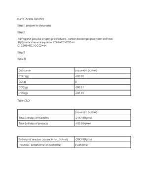 Project-Propaganda Poster-rubric - Copyright © Edgenuity Inc ...