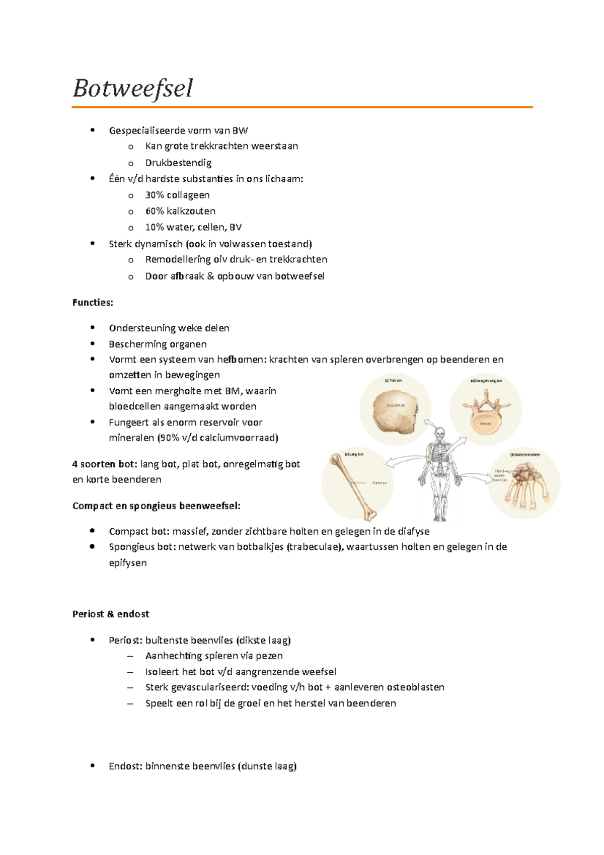 Samenvatting - Botweefsel - Botweefsel Gespecialiseerde vorm van BW o ...