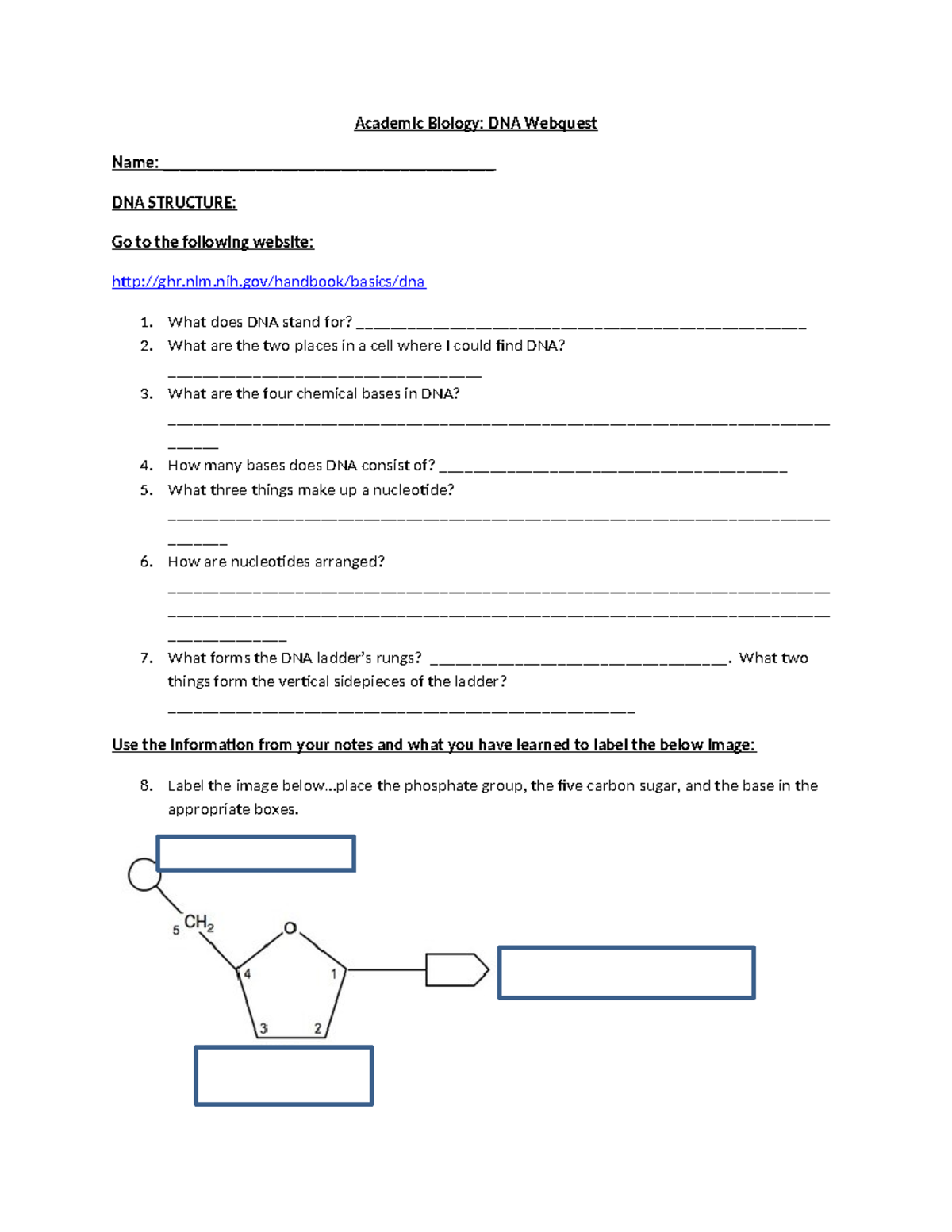 DNAWebquest - Mmmnn - Academic Biology: DNA Webquest Name