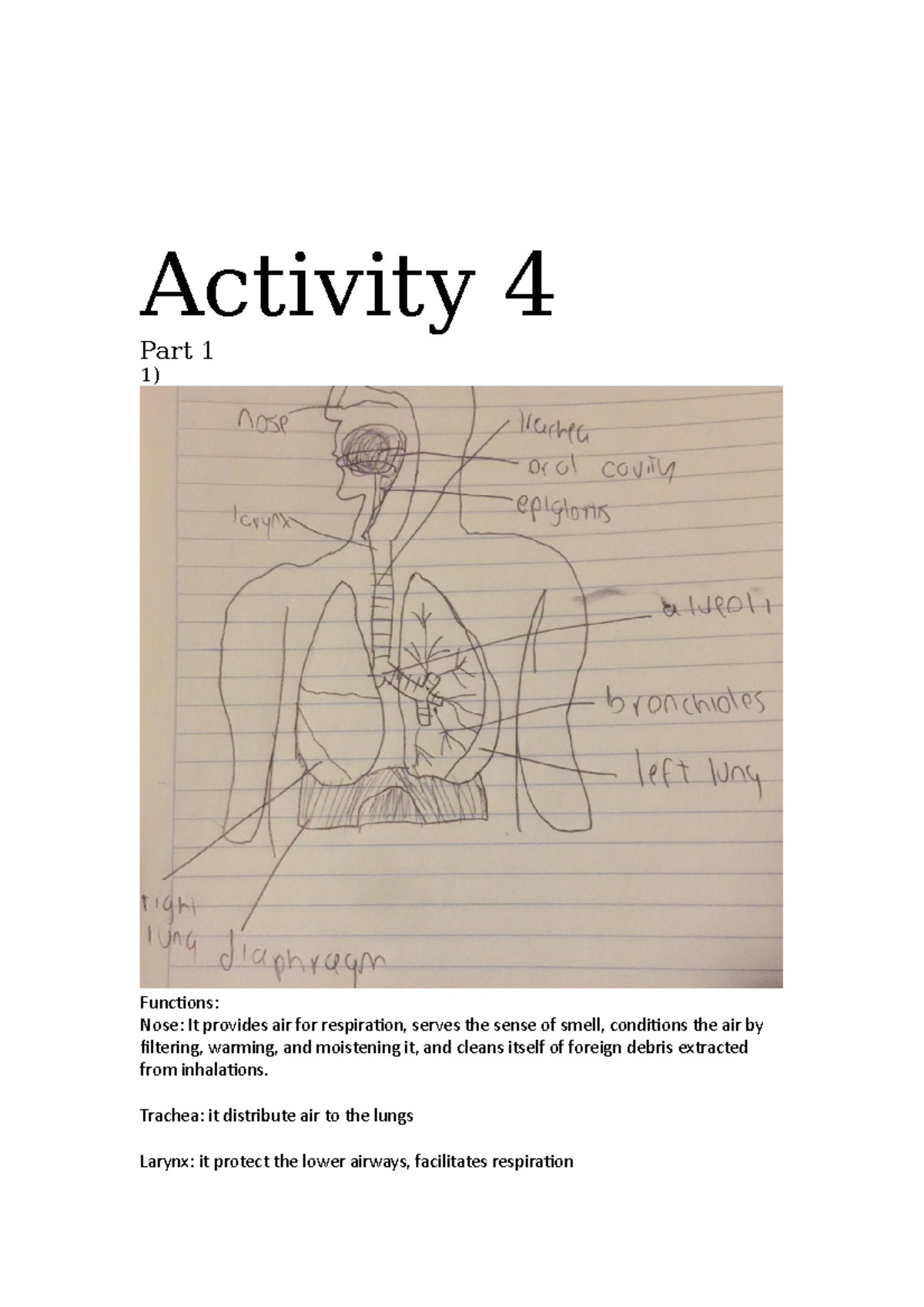 Human act 4 eso tilin wtf este quien porogn - Activity 4 Part 1 1 ...